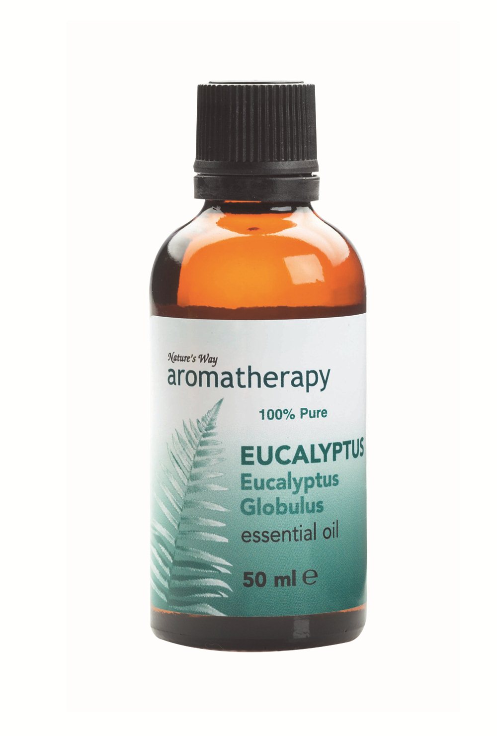 Nature's Way Aromatherapy Eucalyptus (Eucalyptus Globulus) - herb ...
